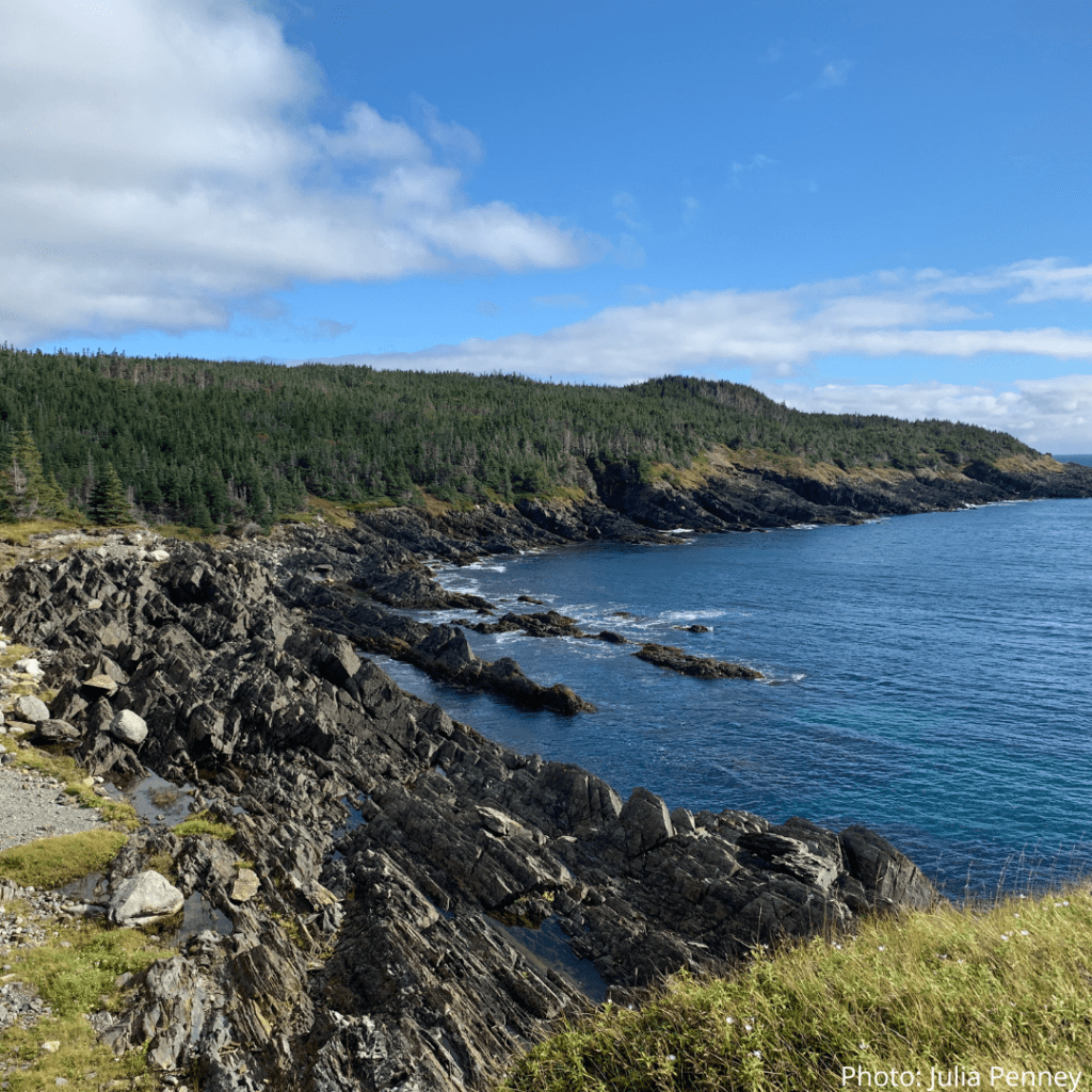 24. Bear Cove Point Path | East Coast Trail
