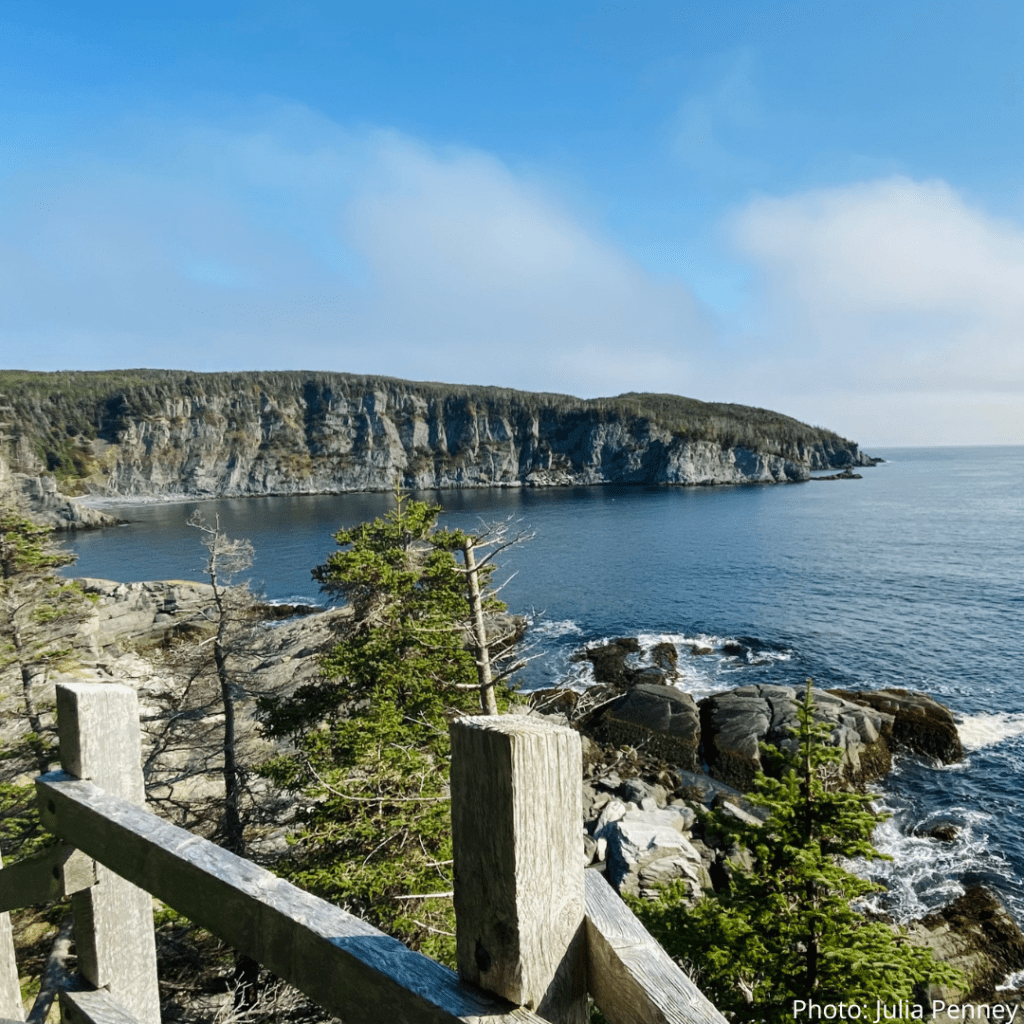 19. Brigus Head Path | East Coast Trail