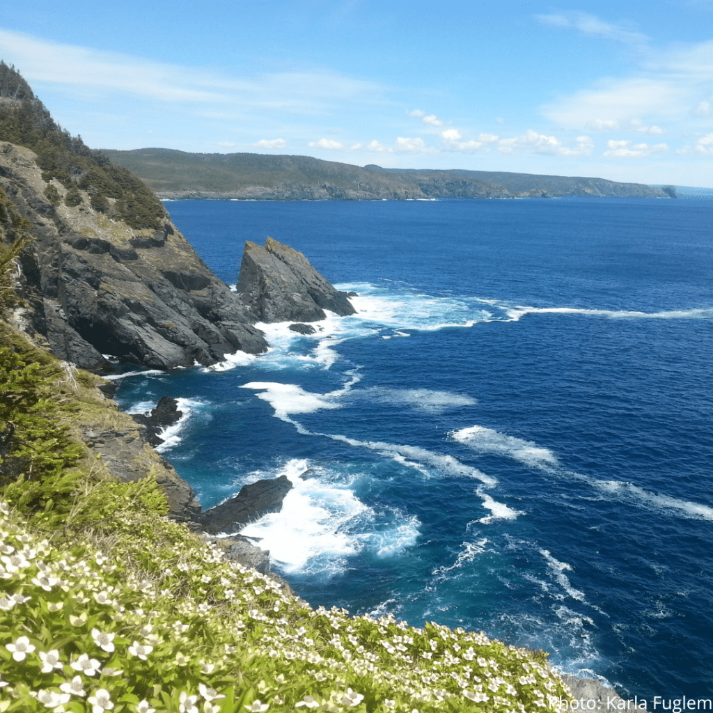 19. Brigus Head Path | East Coast Trail