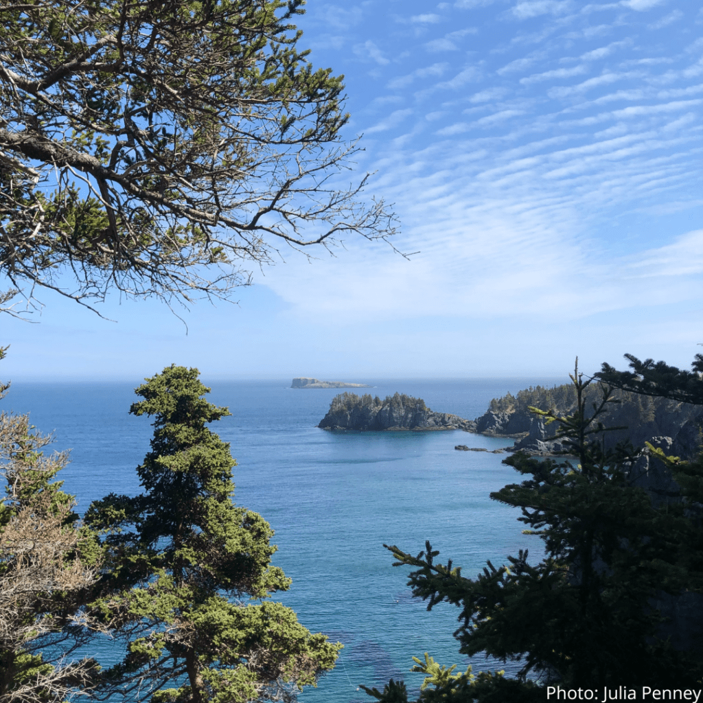21. Caplin Bay Path | East Coast Trail