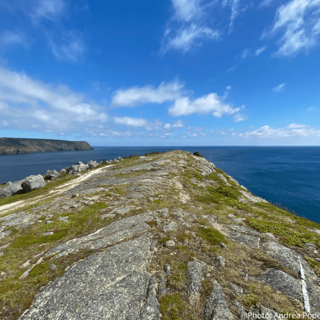 06. Father Troys Trail | East Coast Trail