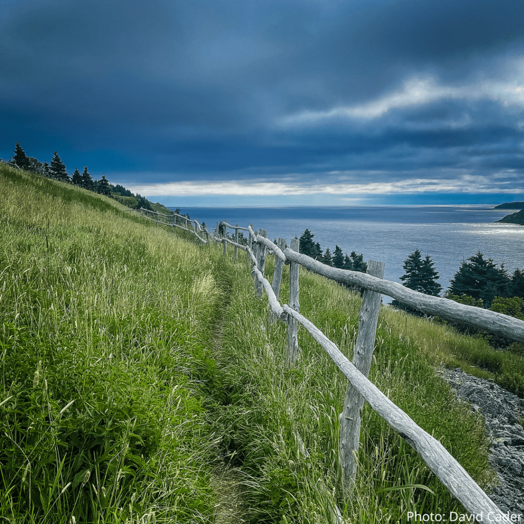 06. Father Troys Trail | East Coast Trail
