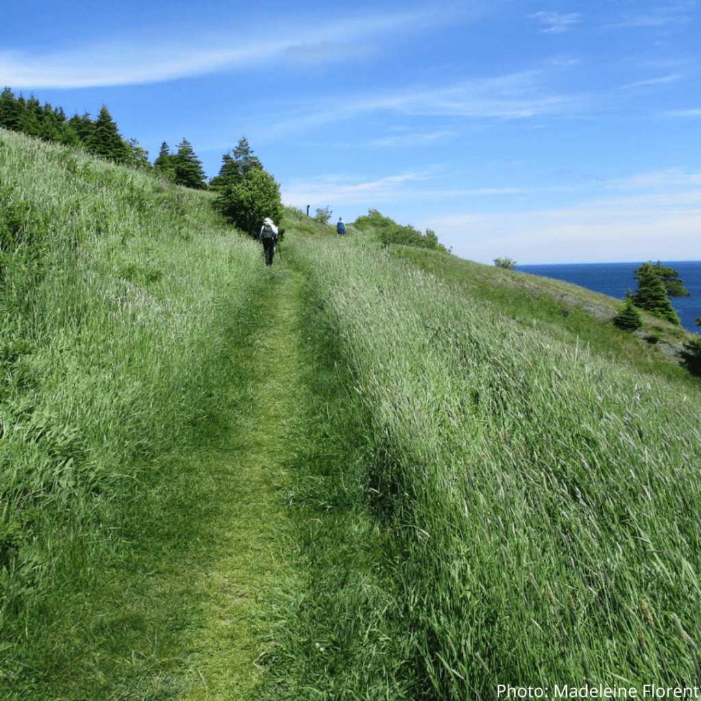 06. Father Troys Trail | East Coast Trail