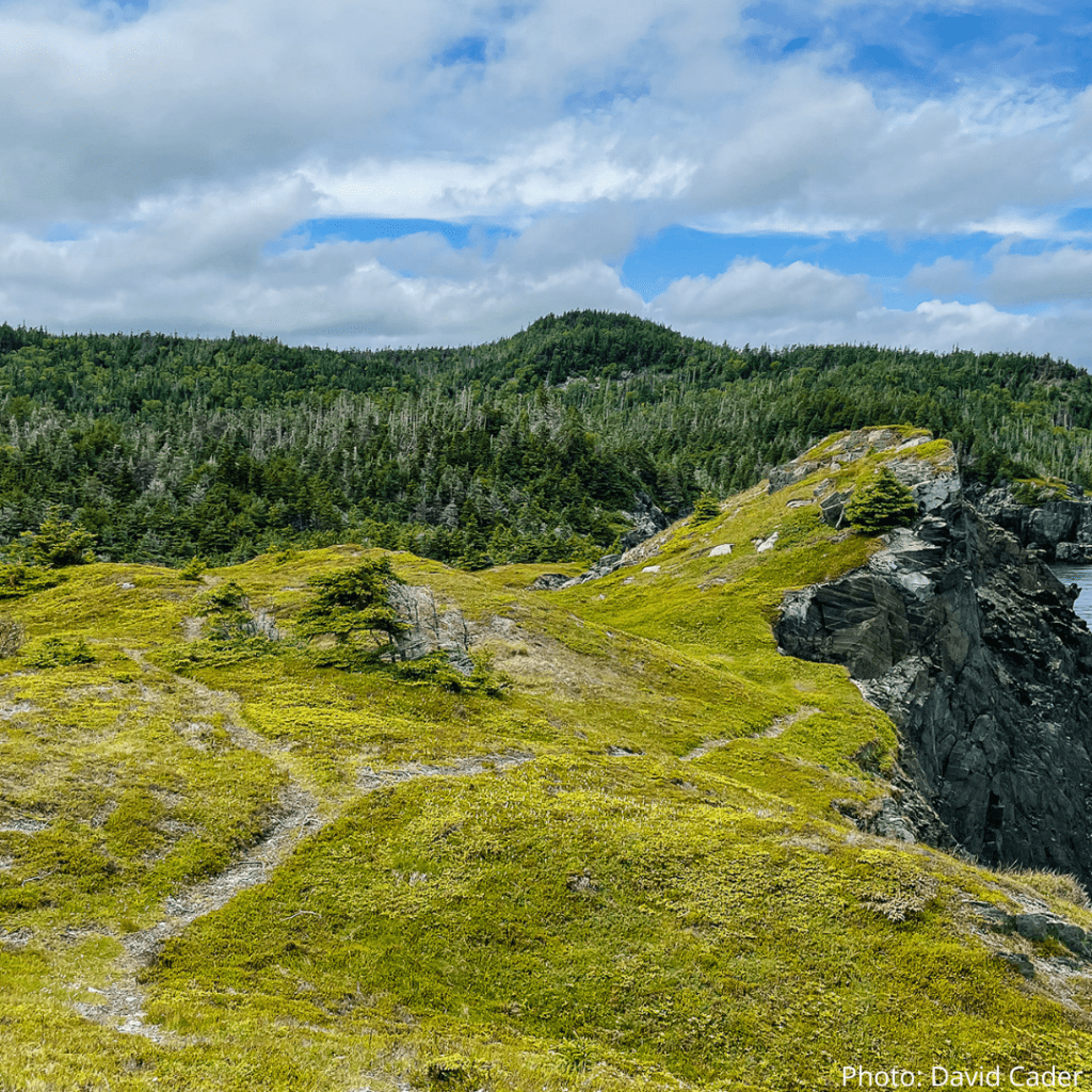 18. Flamber Head Path | East Coast Trail
