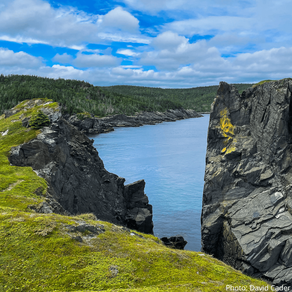 18. Flamber Head Path | East Coast Trail