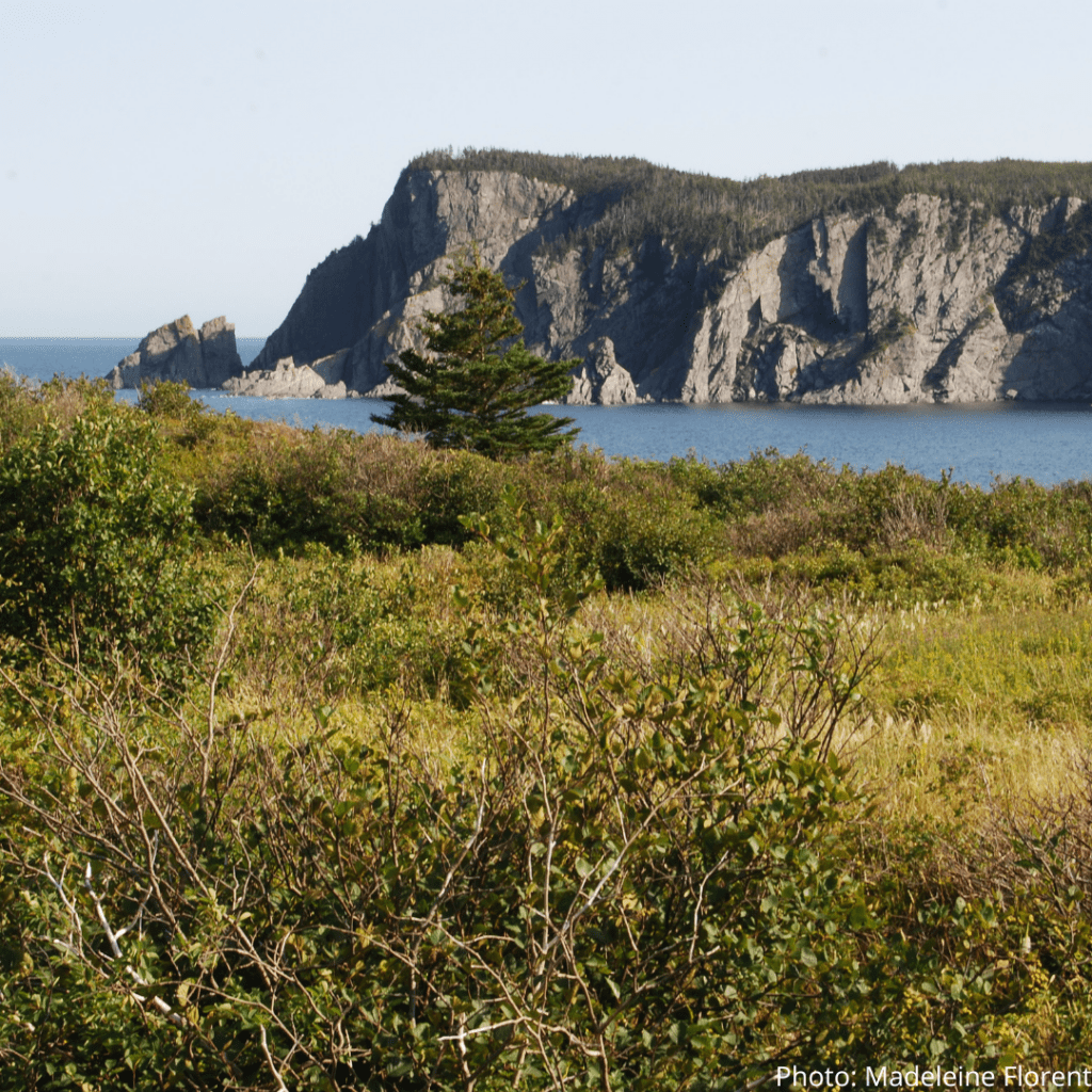 18. Flamber Head Path | East Coast Trail
