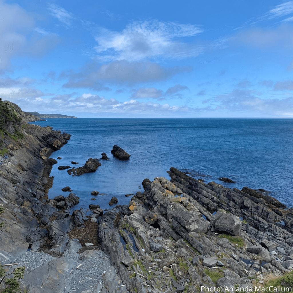 25. Island Meadow Path | East Coast Trail