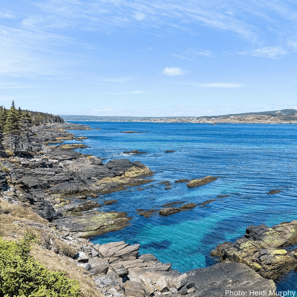 25. Island Meadow Path | East Coast Trail