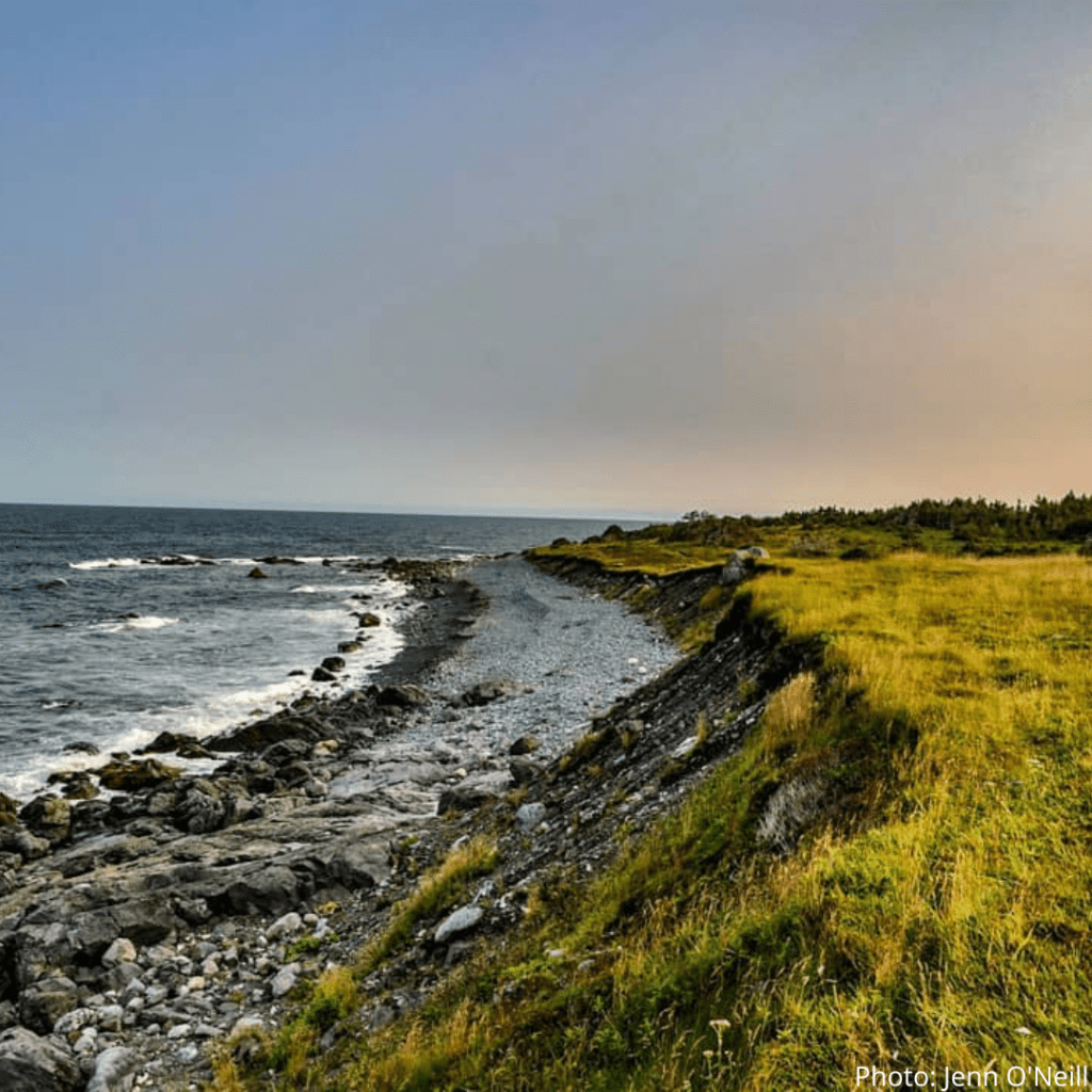 25. Island Meadow Path | East Coast Trail
