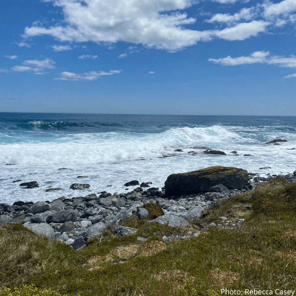 25. Island Meadow Path | East Coast Trail