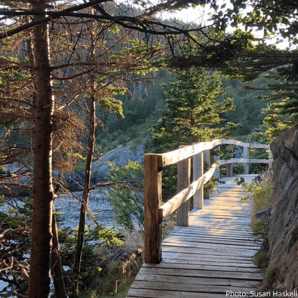 17. La Manche Village Path | East Coast Trail