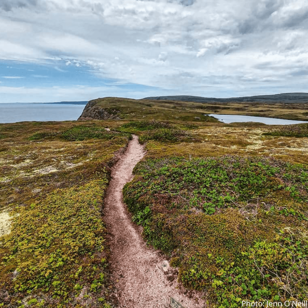 12. Motion Path | East Coast Trail