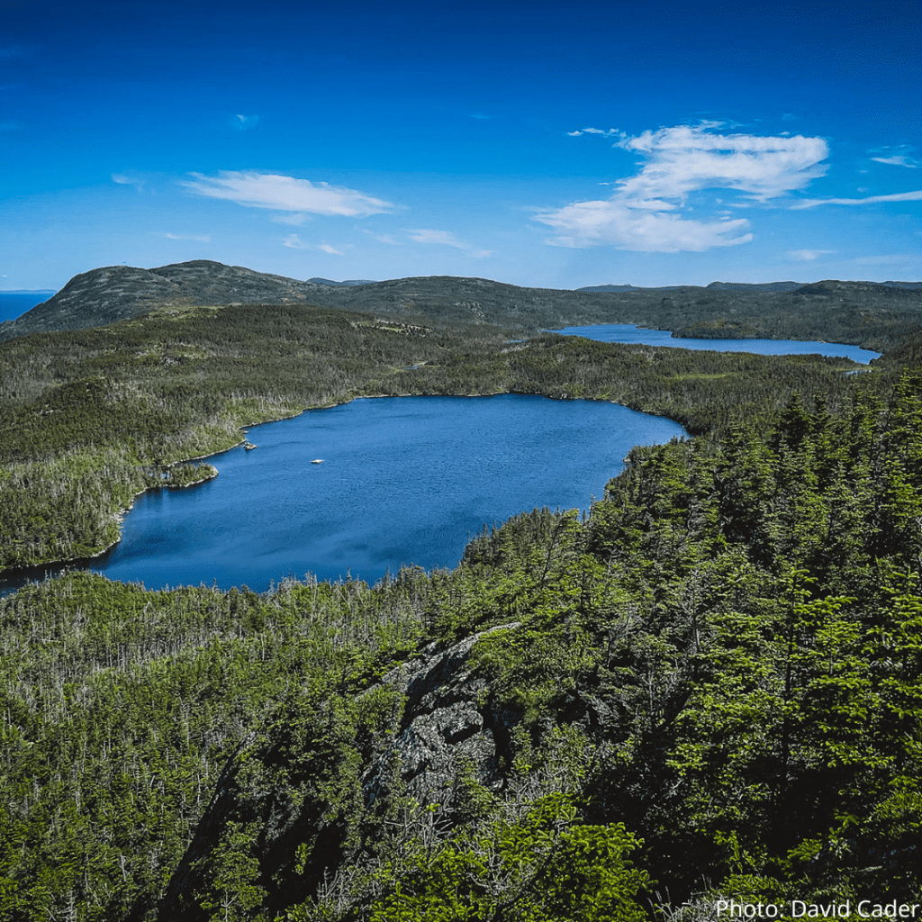 02. Piccos Ridge Path | East Coast Trail