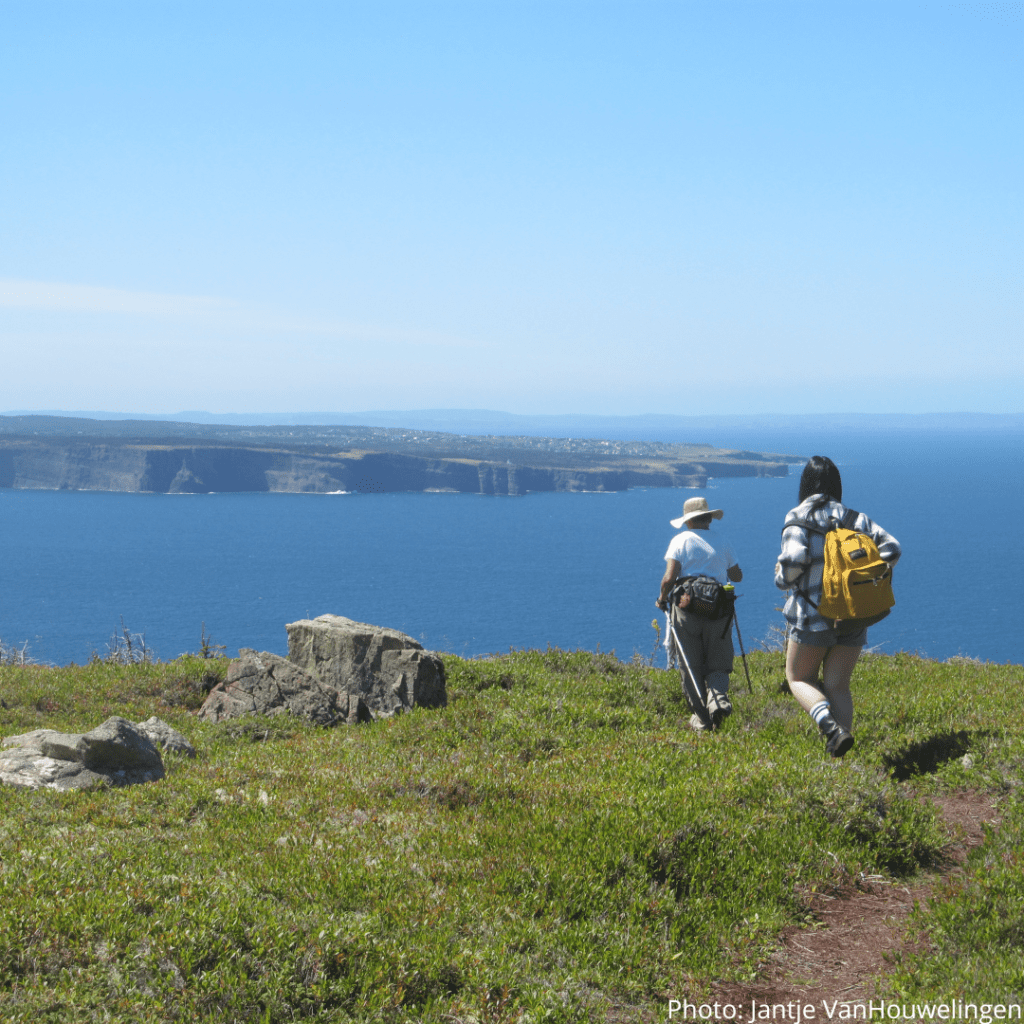 02. Piccos Ridge Path | East Coast Trail