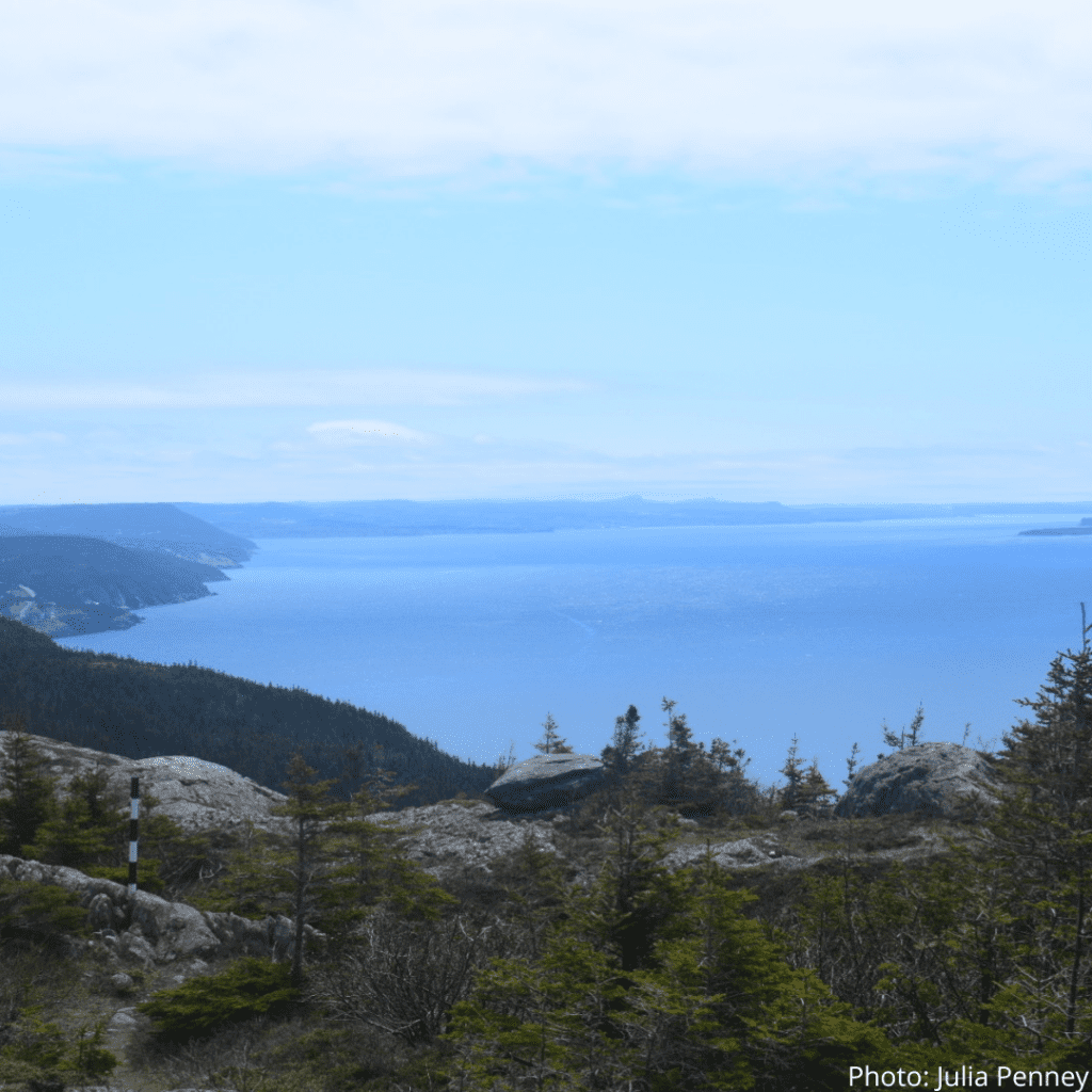 02. Piccos Ridge Path | East Coast Trail