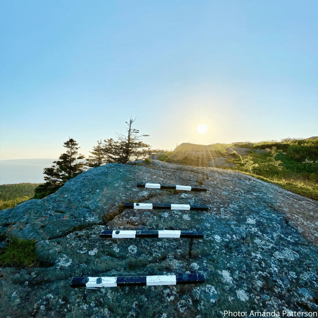 02. Piccos Ridge Path | East Coast Trail
