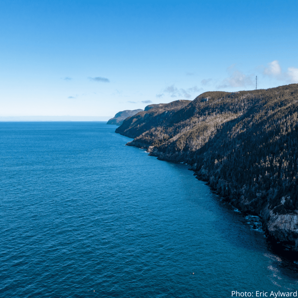 02. Piccos Ridge Path | East Coast Trail