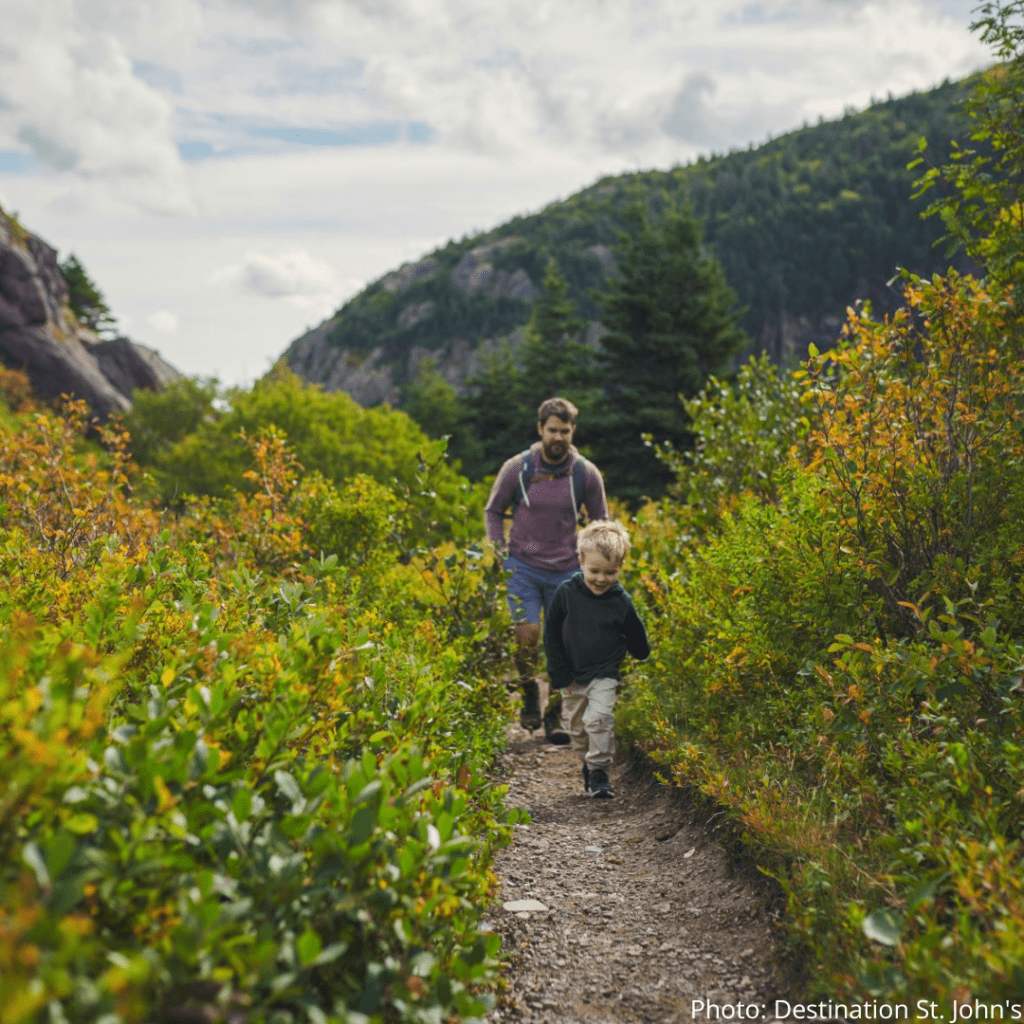 09. Sugarloaf Path | East Coast Trail