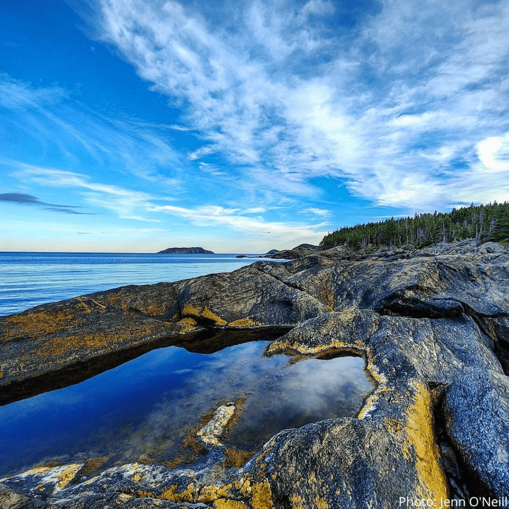 16. Tinkers Point Path | East Coast Trail