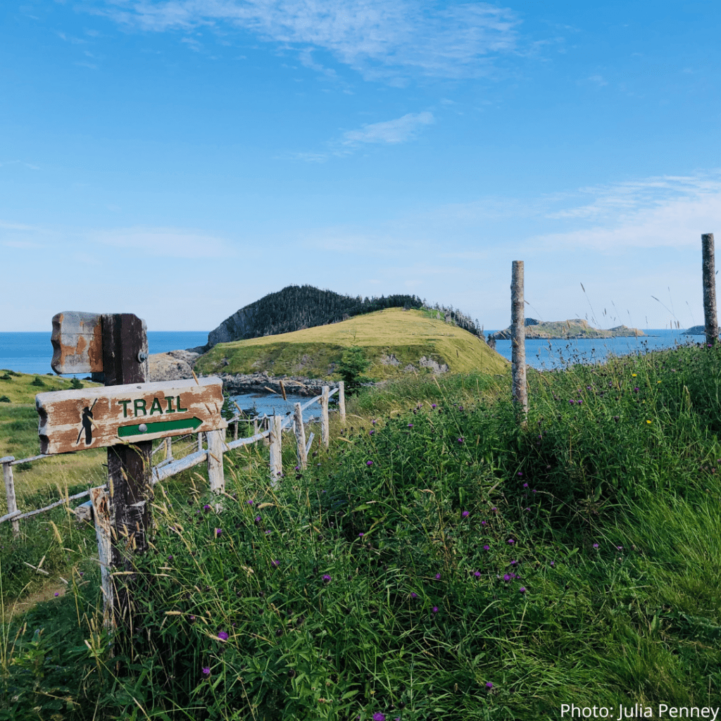 16. Tinkers Point Path | East Coast Trail