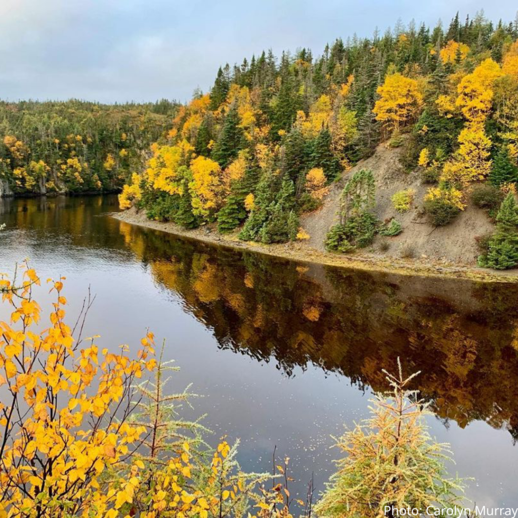 23. Spurwink Island Path | East Coast Trail