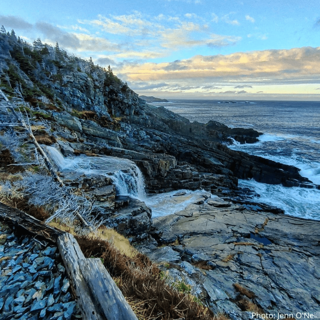 04. Biscan Cove Path | East Coast Trail
