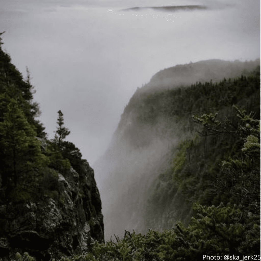 04. Biscan Cove Path | East Coast Trail