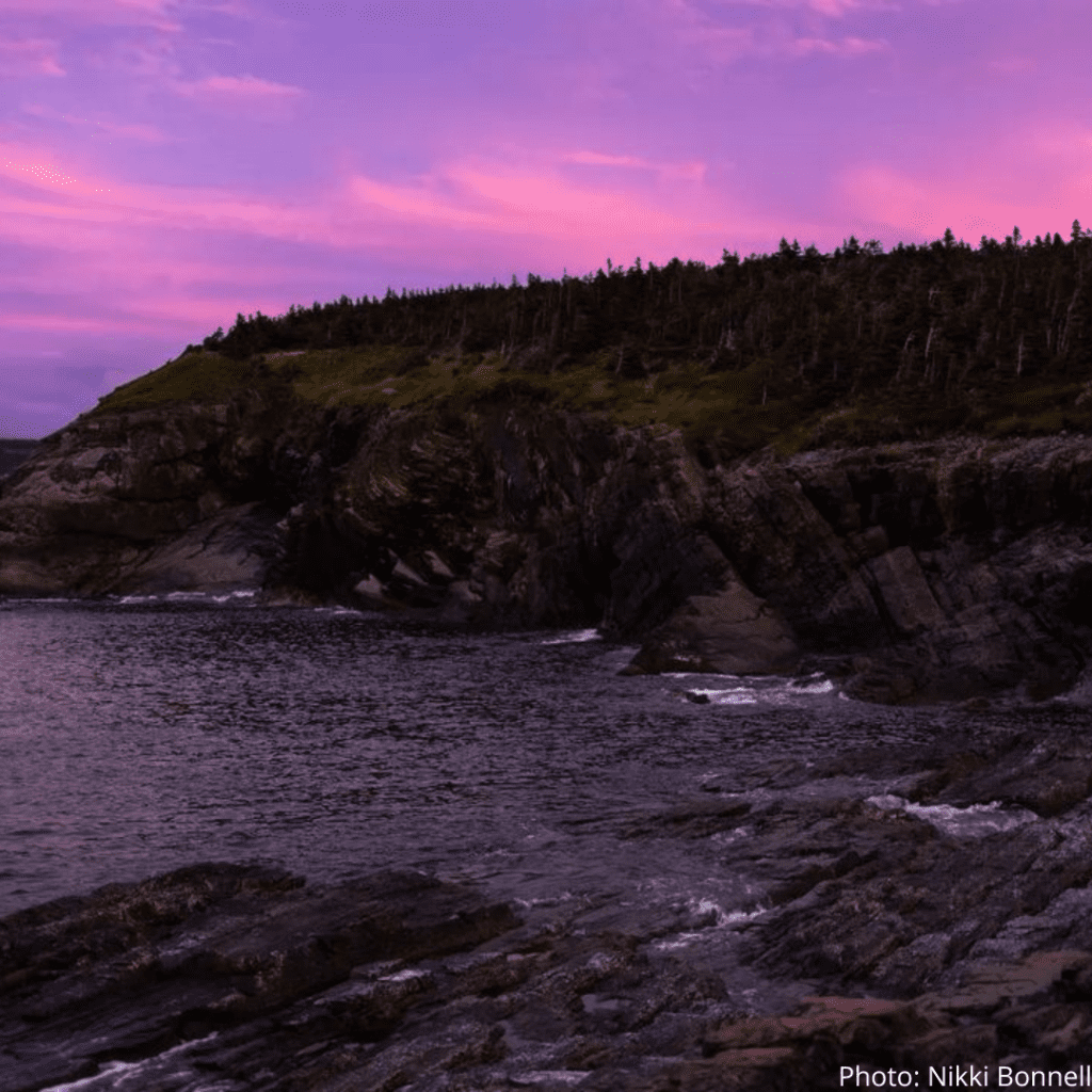 07. Silver Mine Head Path | East Coast Trail