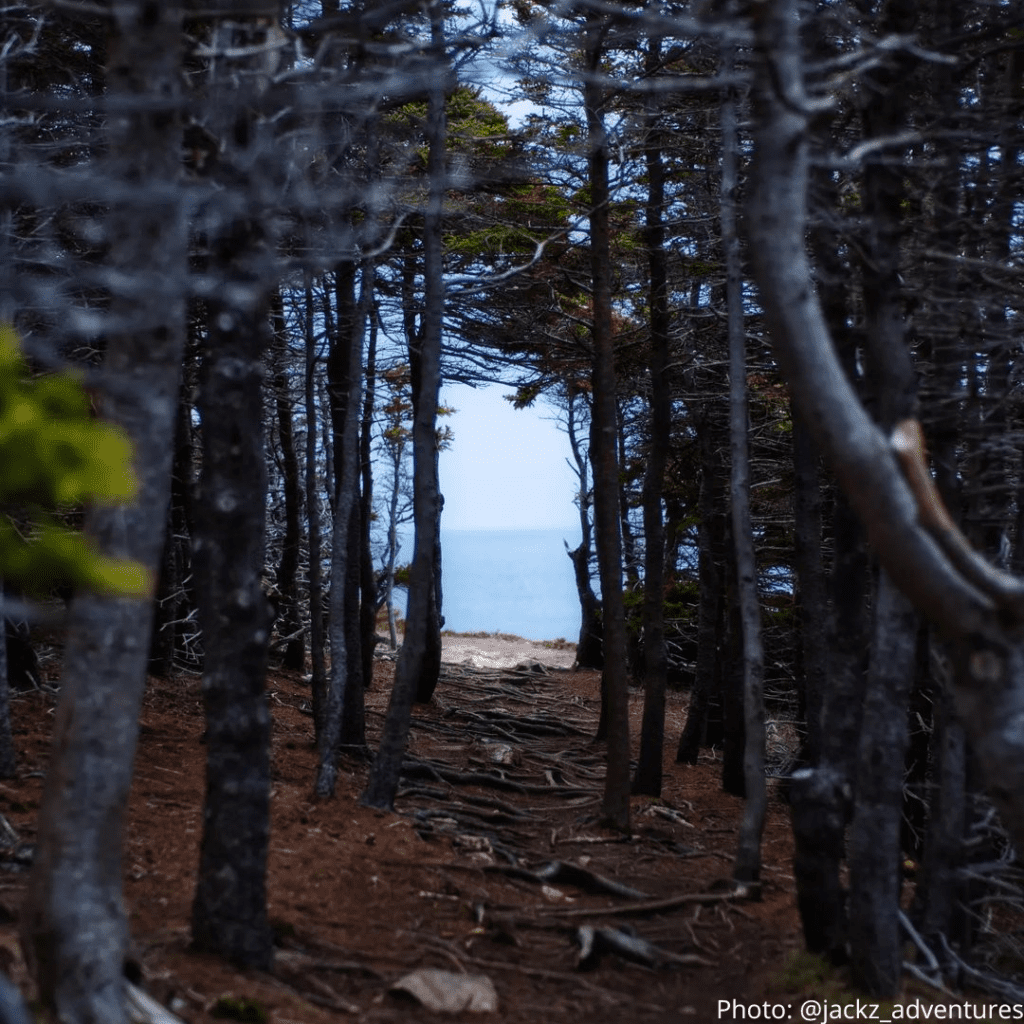 07. Silver Mine Head Path | East Coast Trail